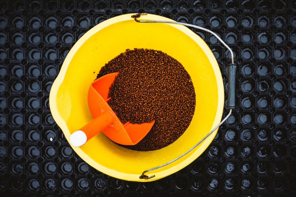 Sustainable feed in Salmon farming | Scottish Sea Farms