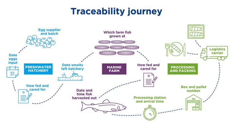 Traceability in salmon farming | Scottish Sea Farms