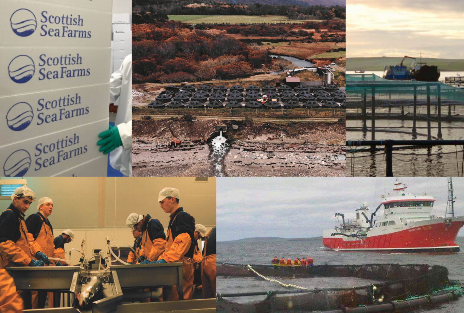 Scottish Sea Farms history | Salmon farming in Scotland