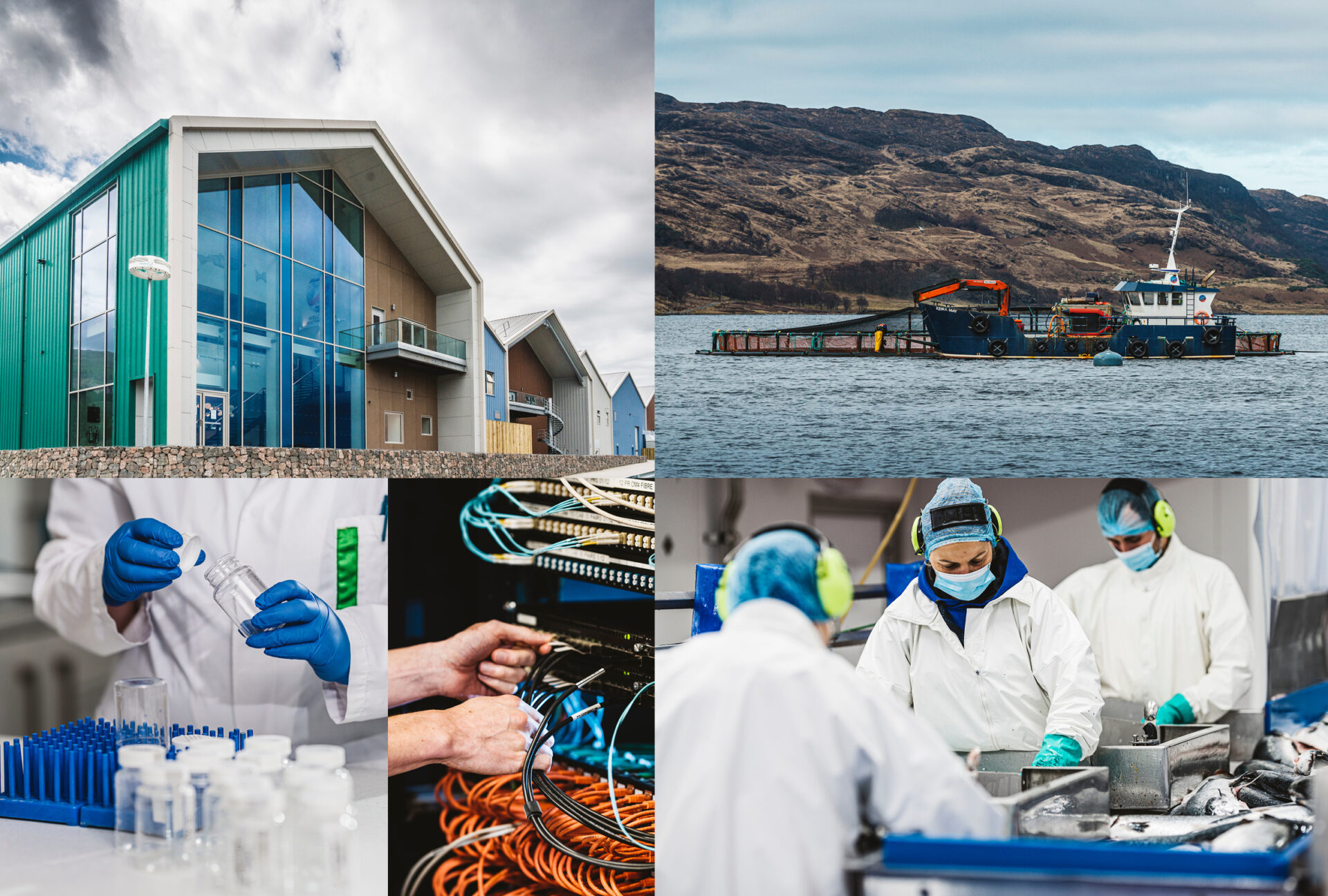 Scottish Sea Farms history | Salmon farming in Scotland