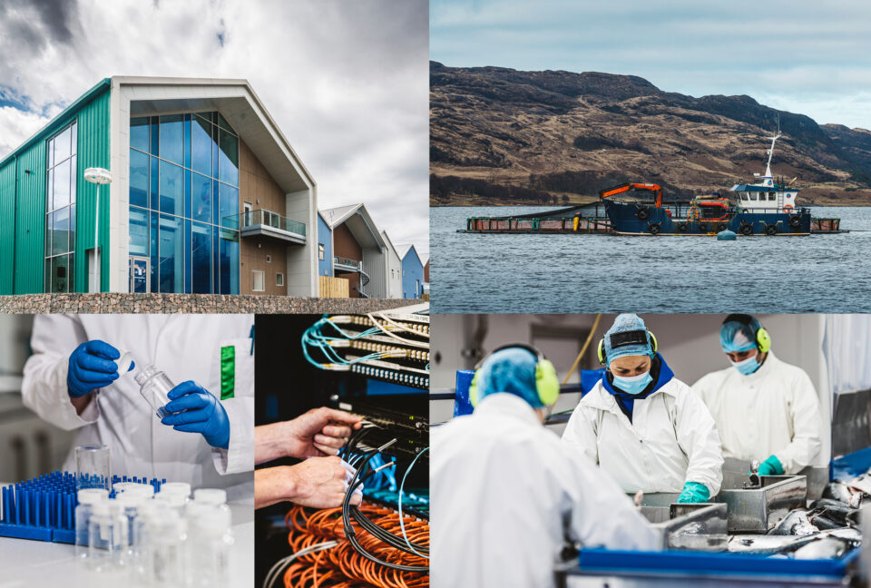 Scottish Sea Farms history | Salmon farming in Scotland