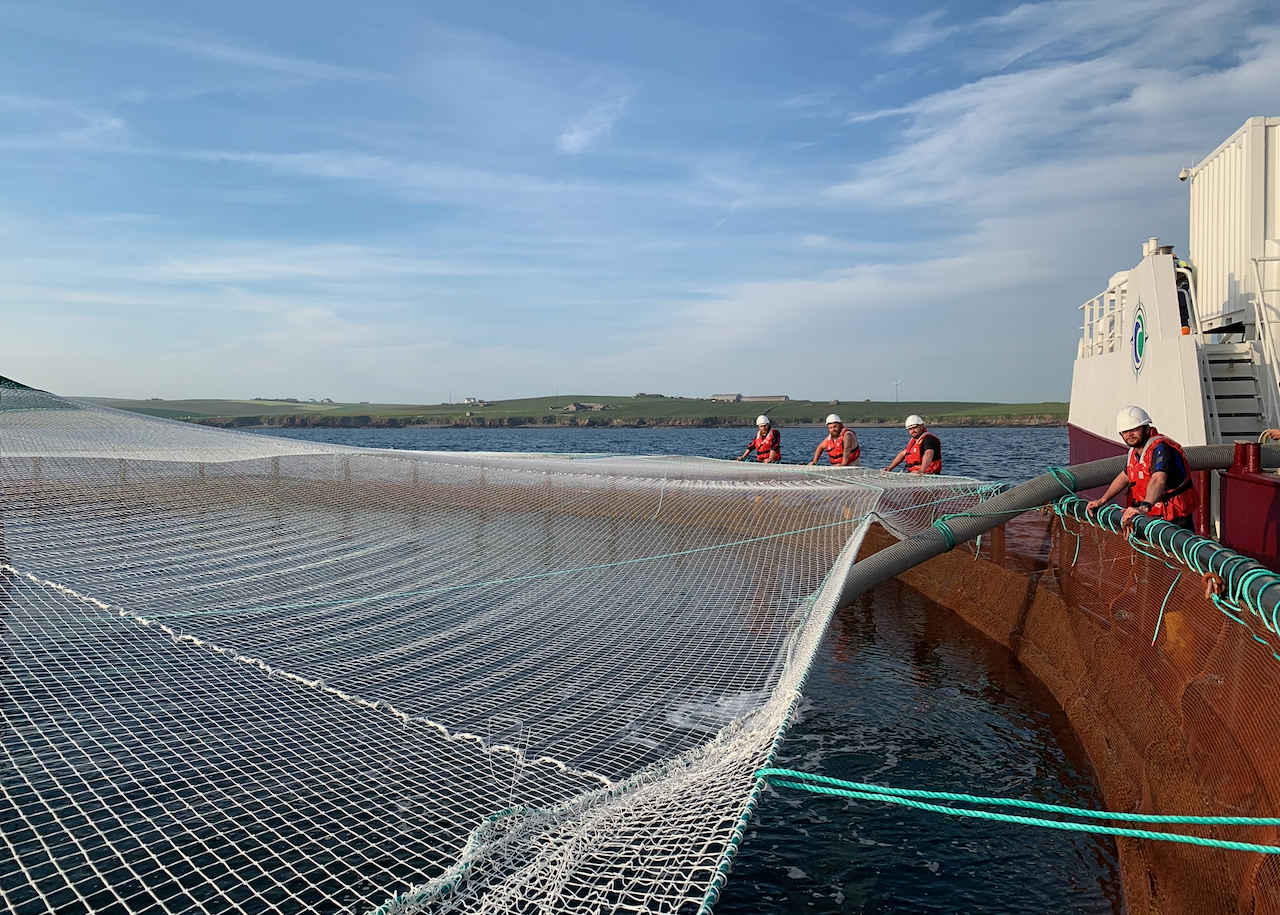 How we grow salmon | Scottish salmon farming | SSF