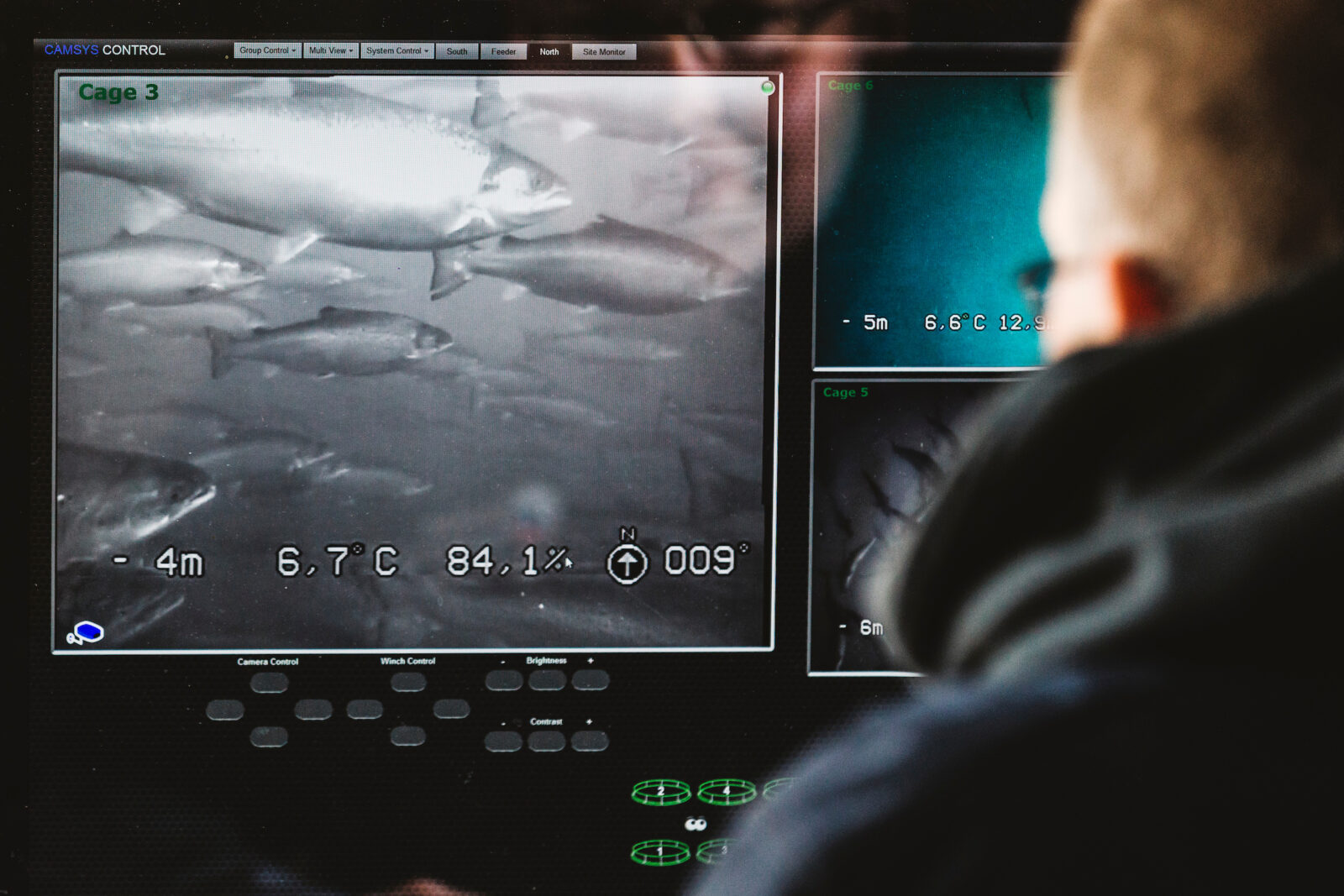 Fish welfare in Salmon farming | Scottish Sea Farms