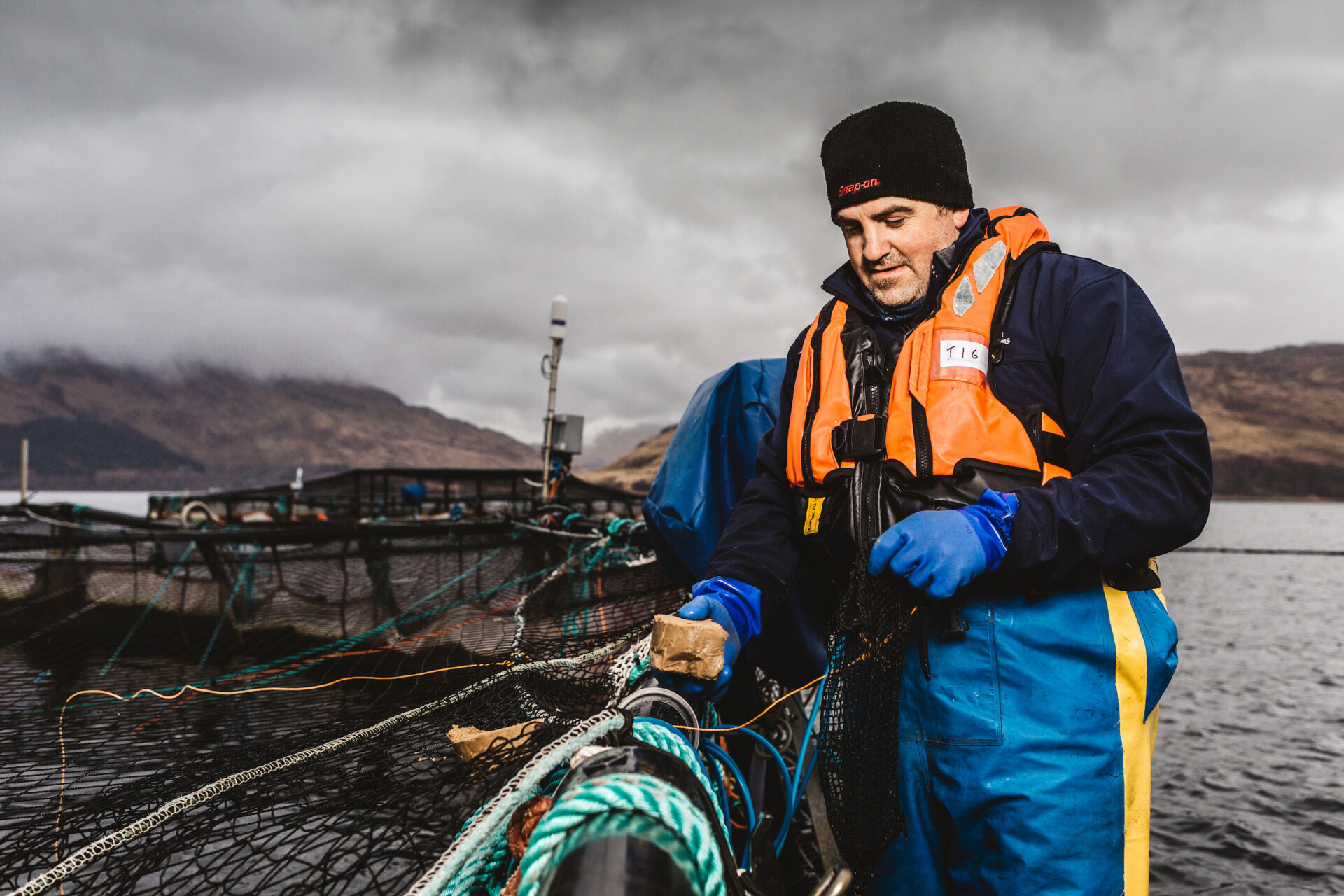 Fish welfare in Salmon farming | Scottish Sea Farms