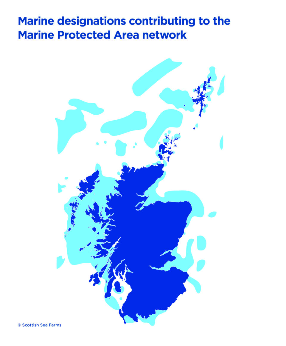 Safeguarding the sea bed with salmon farming | SSF