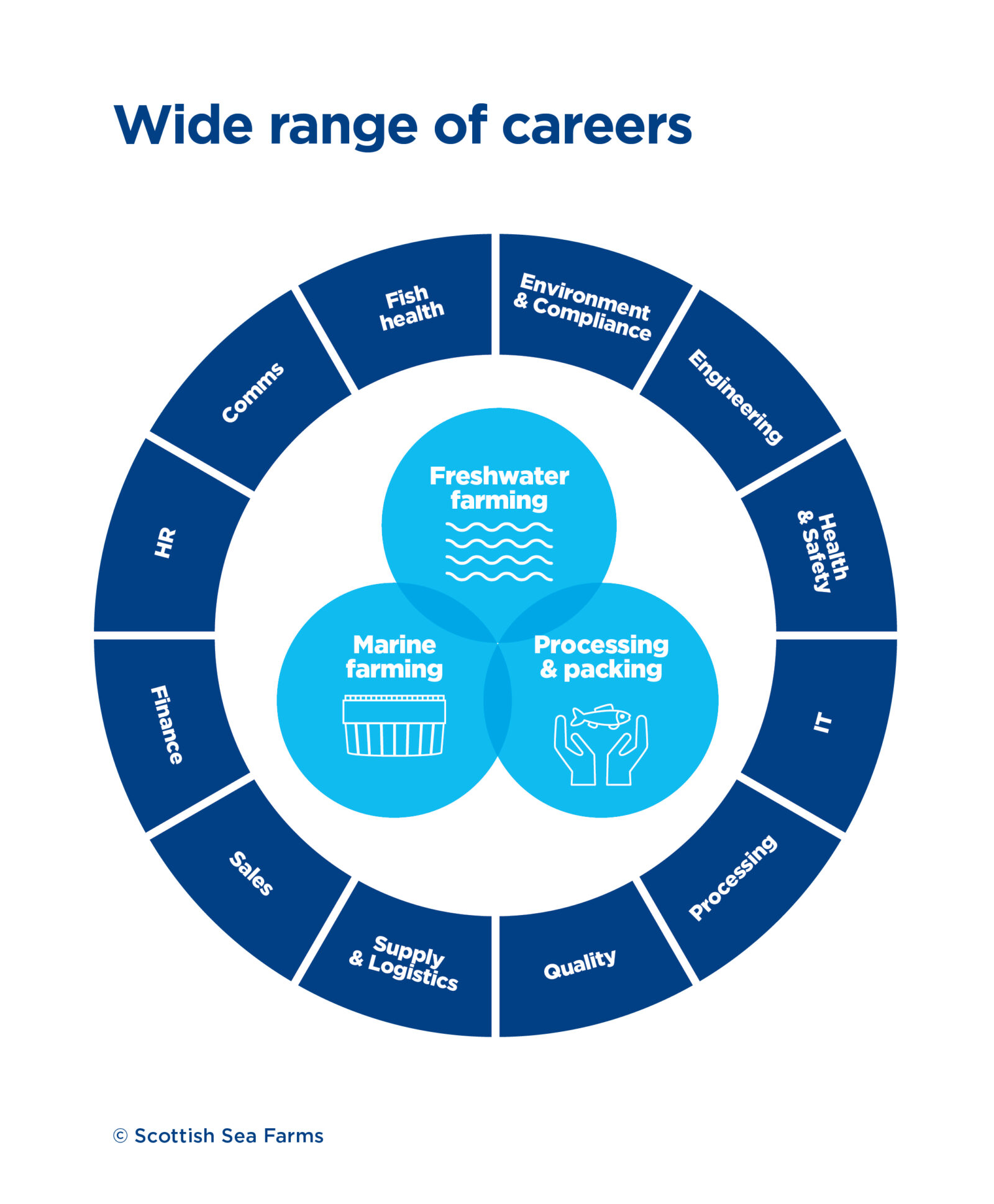 Work with Scottish Sea Farms | Salmon farming jobs