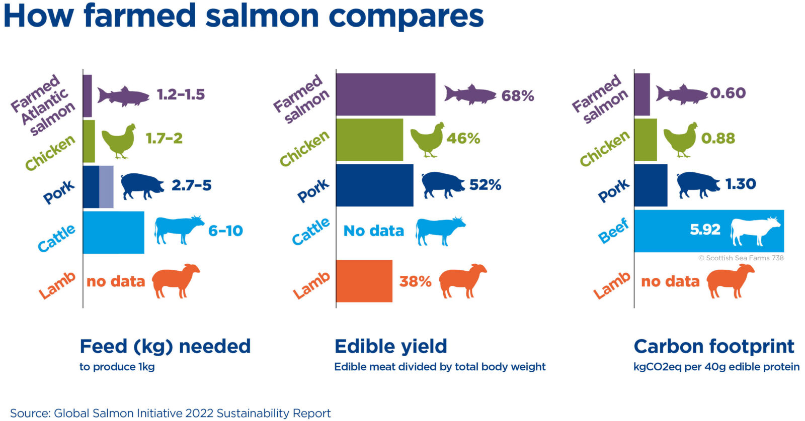 Sustainable feed in Salmon farming | Scottish Sea Farms