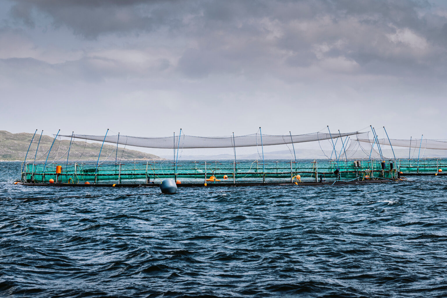 Skerries salmon farm | Scottish Sea Farms